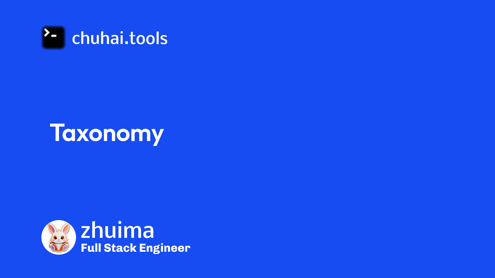 Taxonomy - 独立开发者出海技术栈